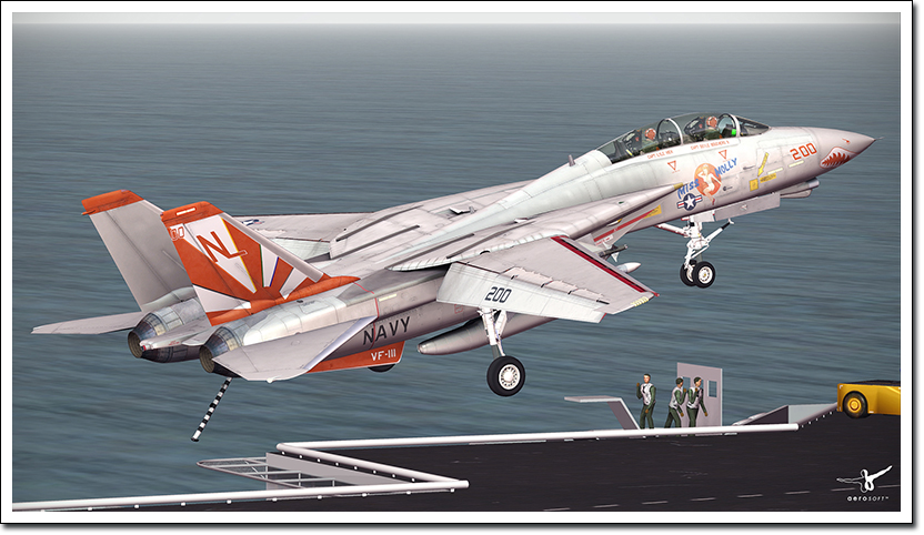 'F-14 X' NEW