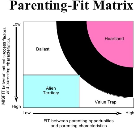 ماتریس ارزیابی شرکت هولدینگ